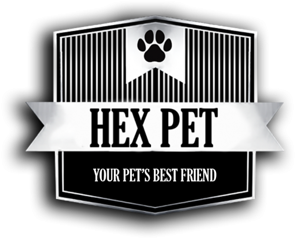 Contact Us | Pet Transport | Dog Taxi Service Bristol UK | HexPet